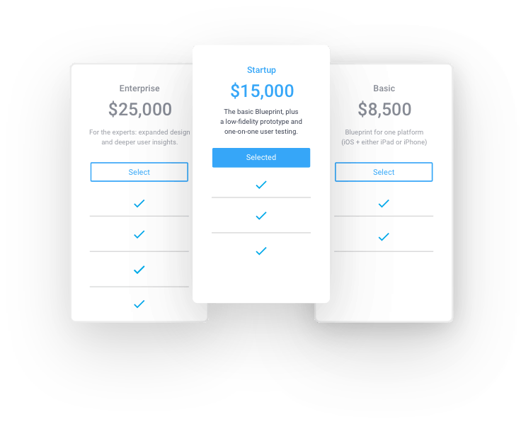 MESH/diversity Case Study - FastSpring